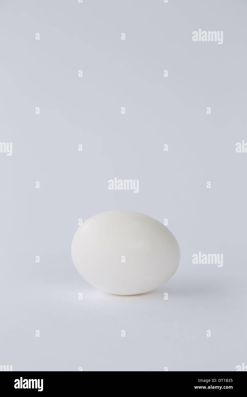 Egg shell white hi-res stock photography and images - Alamy
