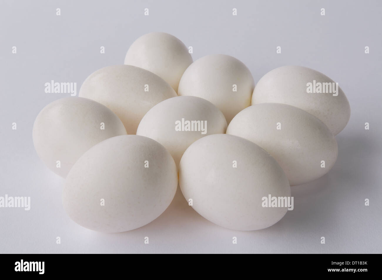 White shells hi-res stock photography and images - Alamy