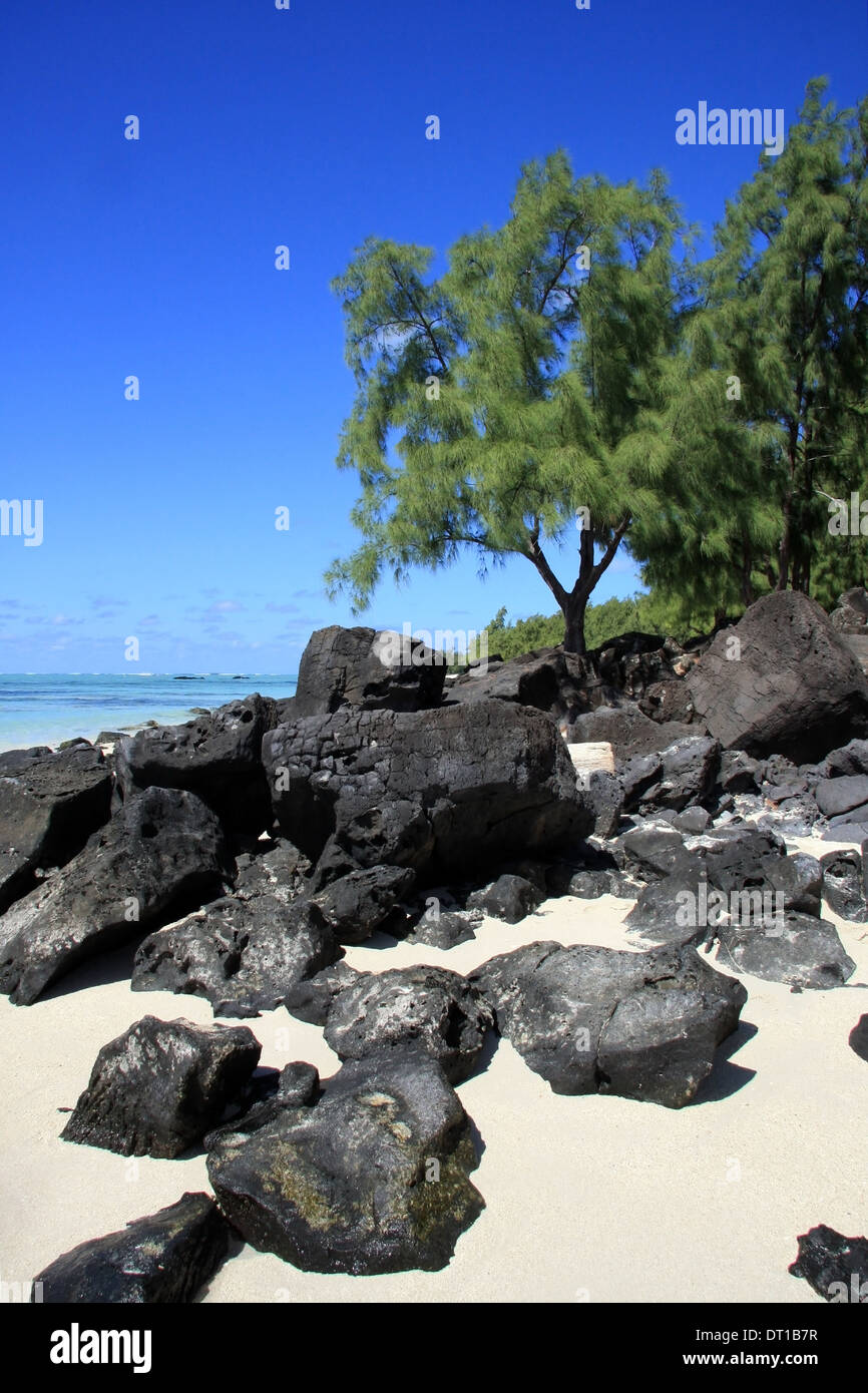 Paradise cove mauritius hi-res stock photography and images - Alamy