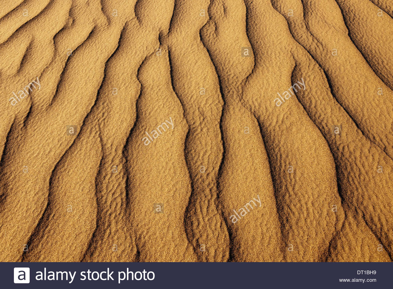 National Patterns High Resolution Stock Photography and Images - Alamy