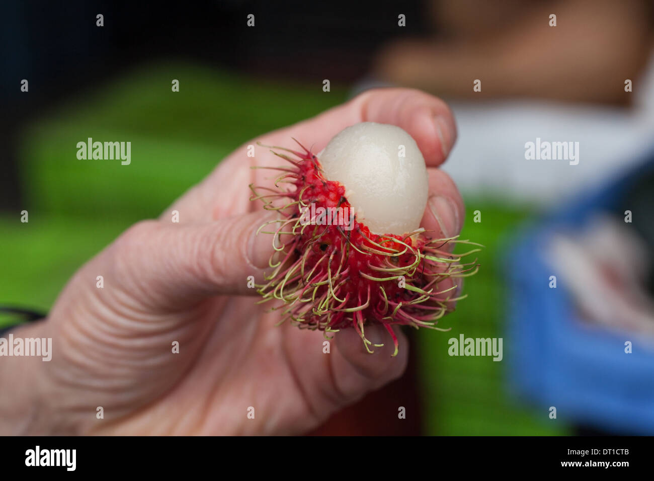 Produce lychee litchi chinensis fruit High Resolution Stock Photography ...