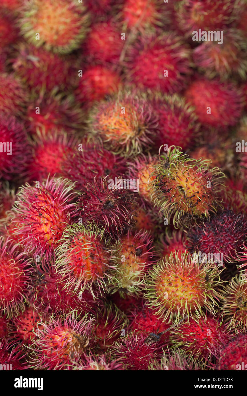 Lychee fruits litchi chinensis trees hi-res stock photography and ...