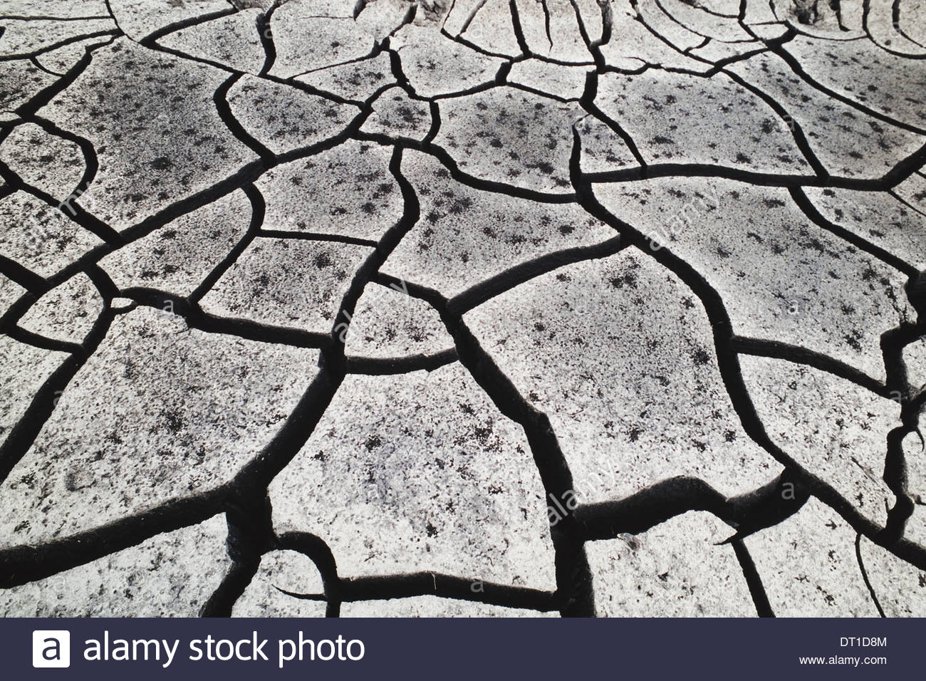 Natural Ground Surface High Resolution Stock Photography and Images - Alamy