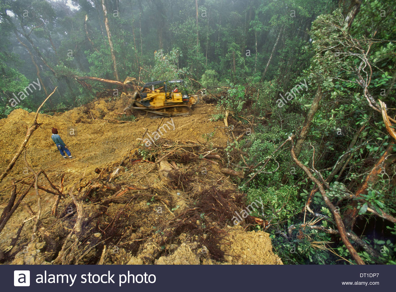 Logging Land High Resolution Stock Photography and Images - Alamy