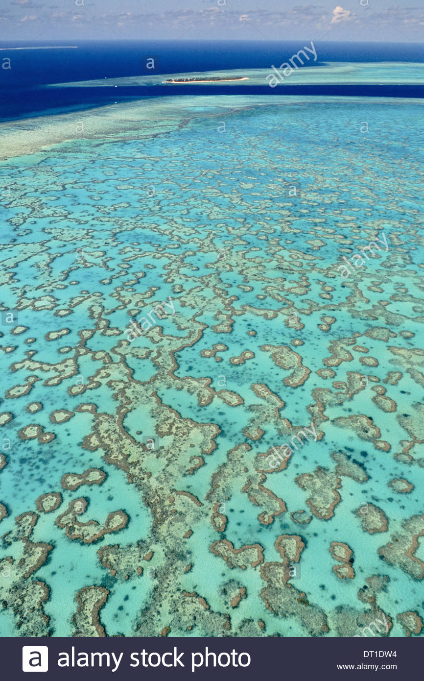 Aerial View Of Great Barrier Reef High Resolution Stock Photography and Images - Alamy