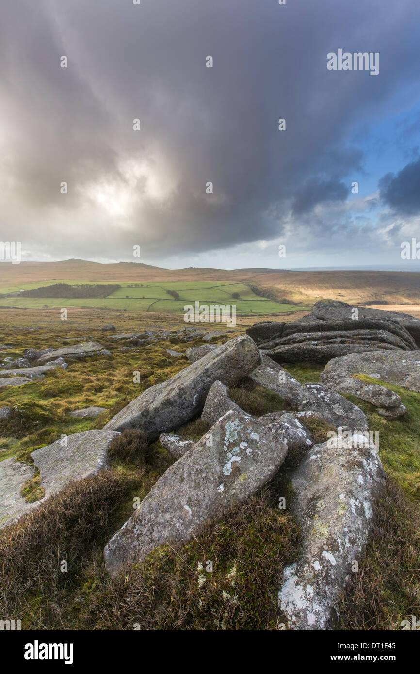 The rocky Tors on Belstone Common, Dartmoor, Devon England, UK Stock ...