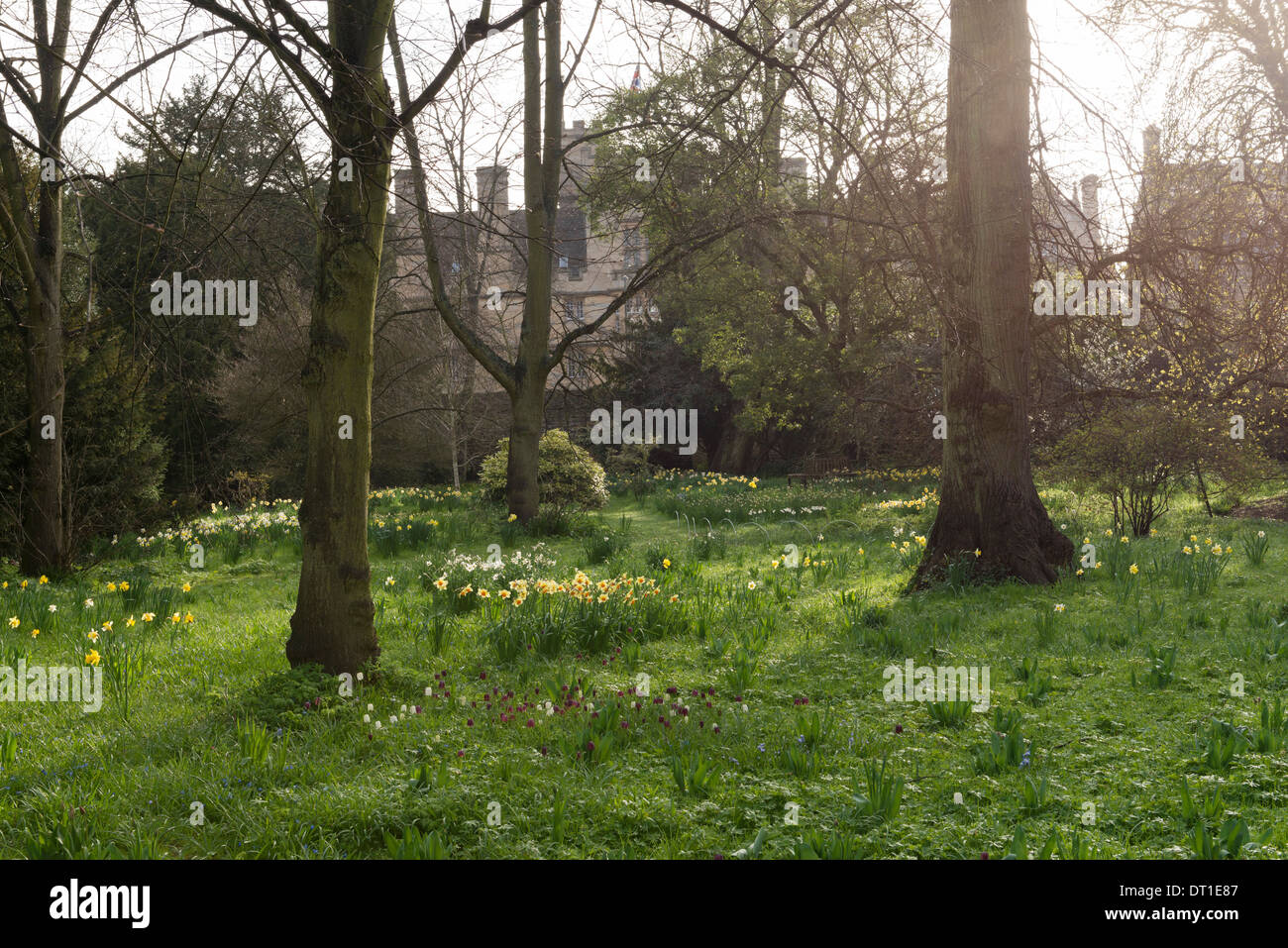 Stunning meadow hi-res stock photography and images - Alamy