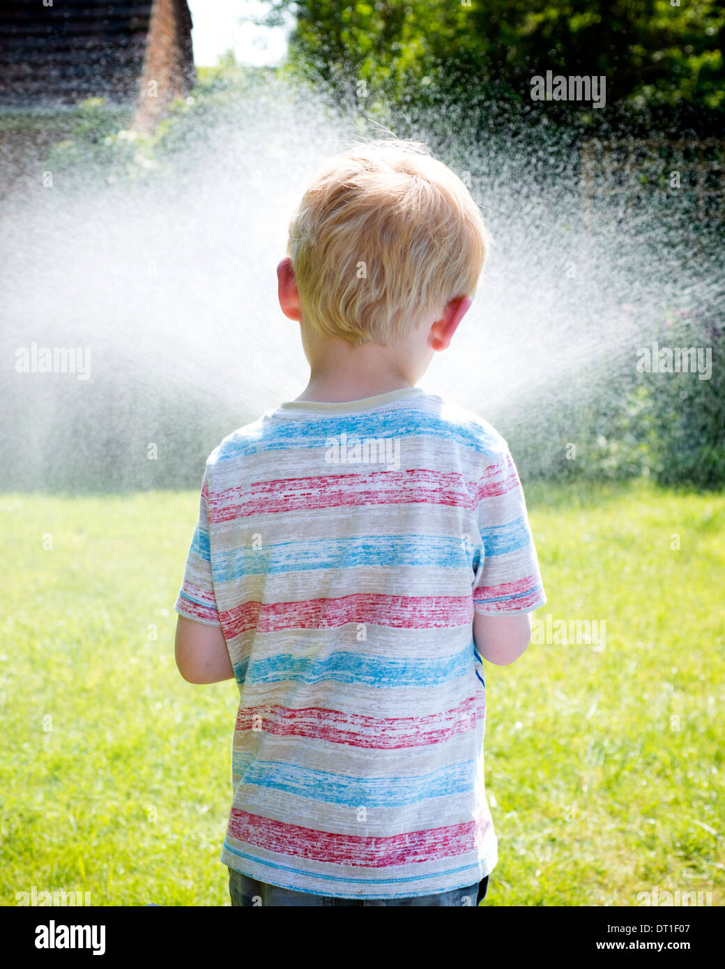 Spraying water in the garden Stock Photo - Alamy