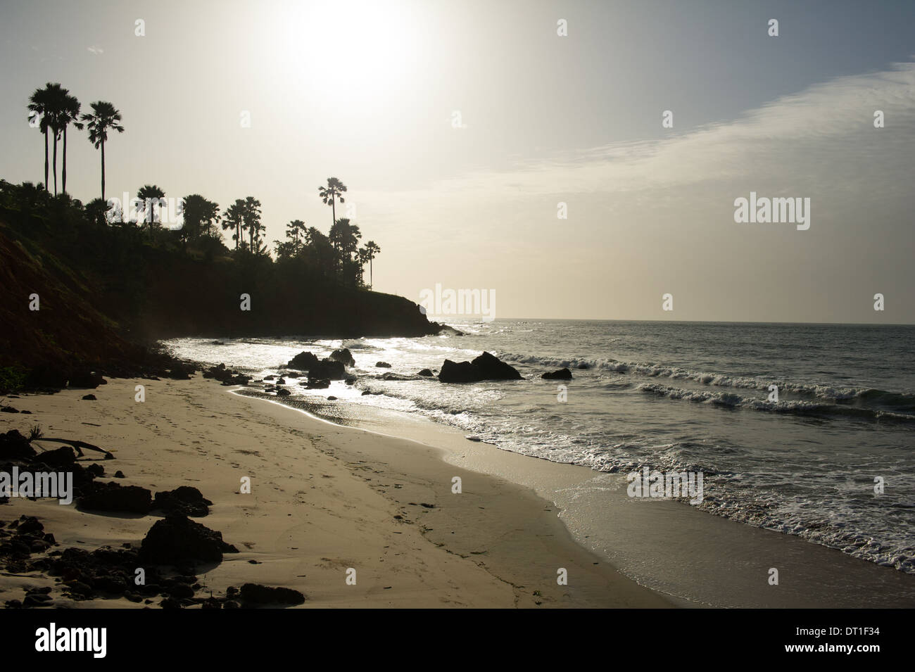 Palm-lined beach at sunrise, Banjul, the Gambia Stock Photo - Alamy