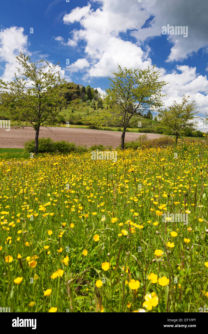 Nature Spring Meadow Mount Meadow And Mountain Behind · Free Stock