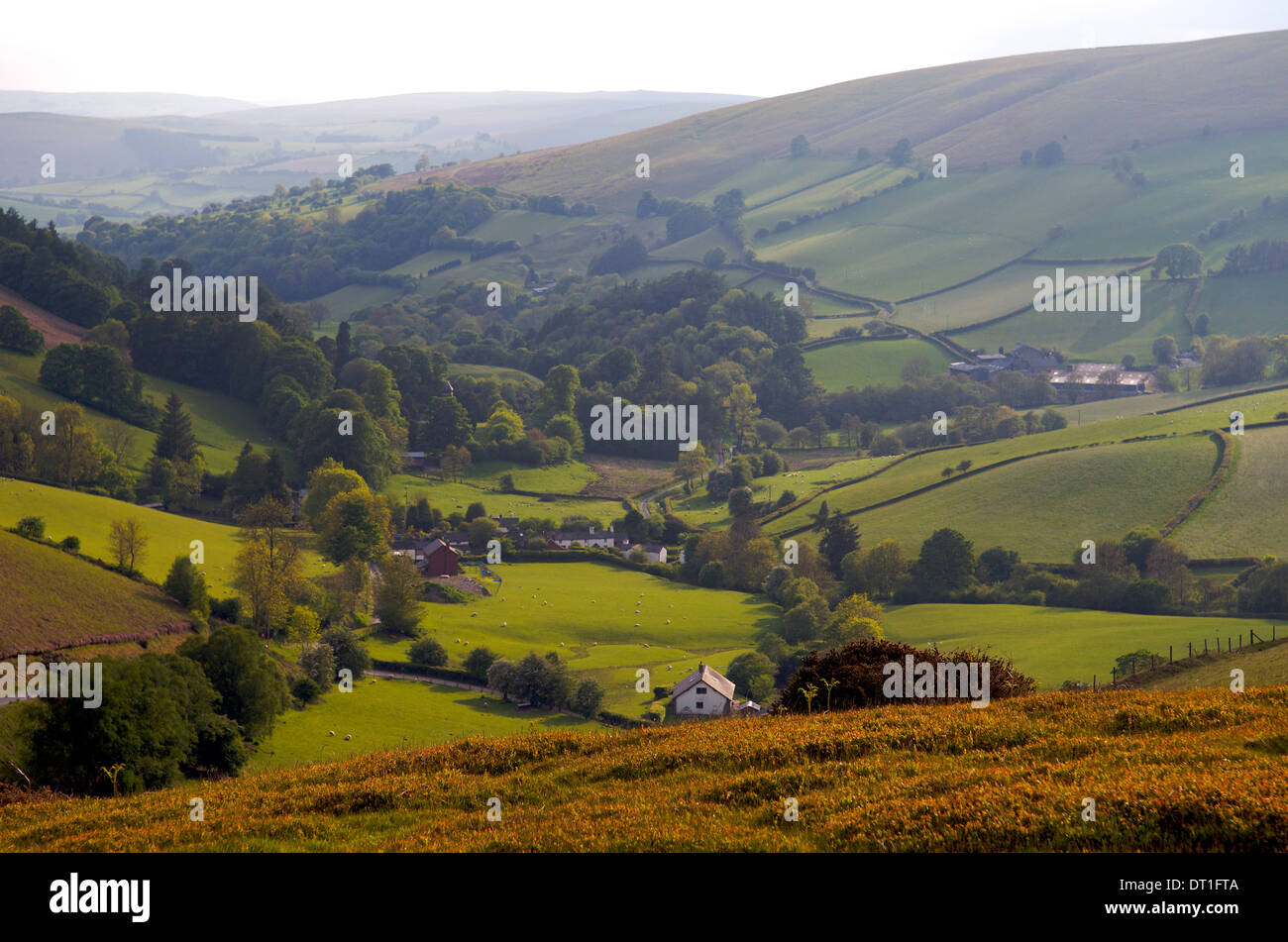Powys landscape hi-res stock photography and images - Alamy