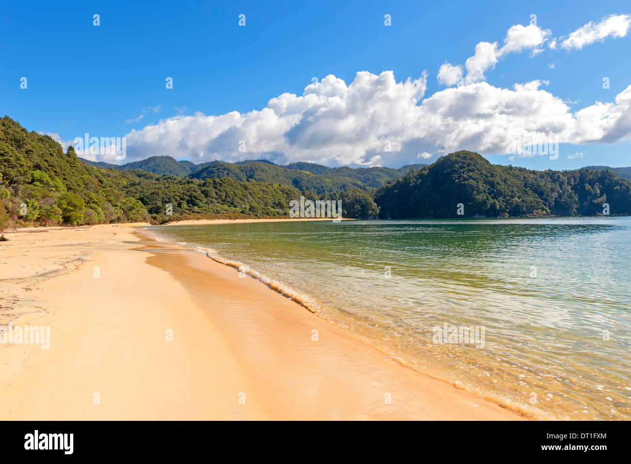 Anchorage Bay, Abel Tasman National Park, Nelson, South Island, New ...