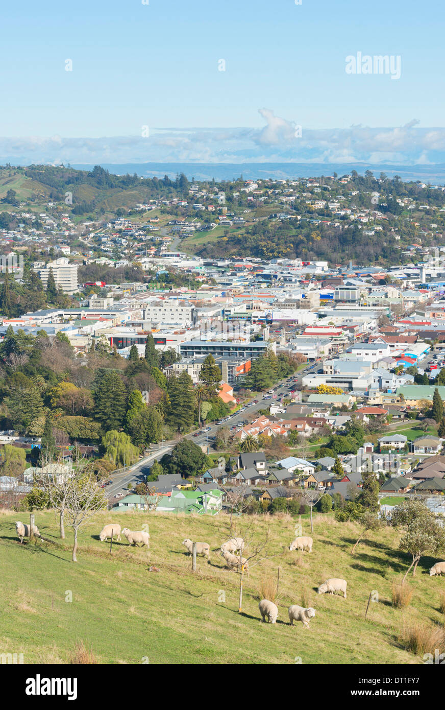 Nelson city new zealand hi-res stock photography and images - Alamy