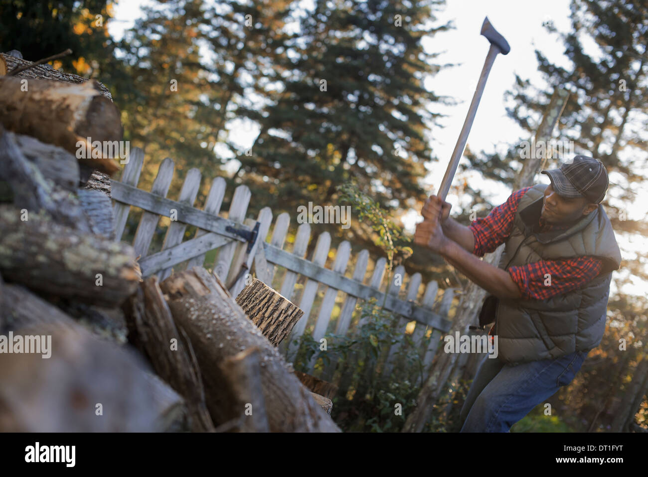 Real tree with open fire hi-res stock photography and images - Alamy