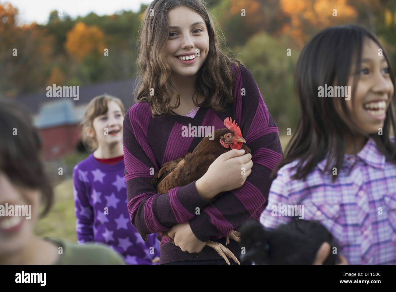 Two girls holding chickens carrying them A farmhouse and a hillside of ...