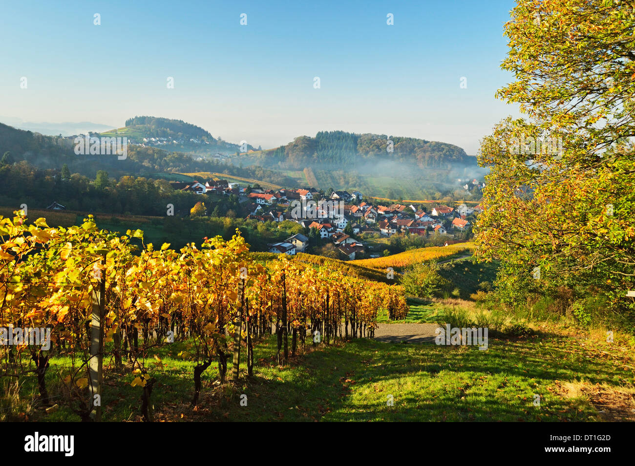 Baden wine route hi-res stock photography and images - Alamy