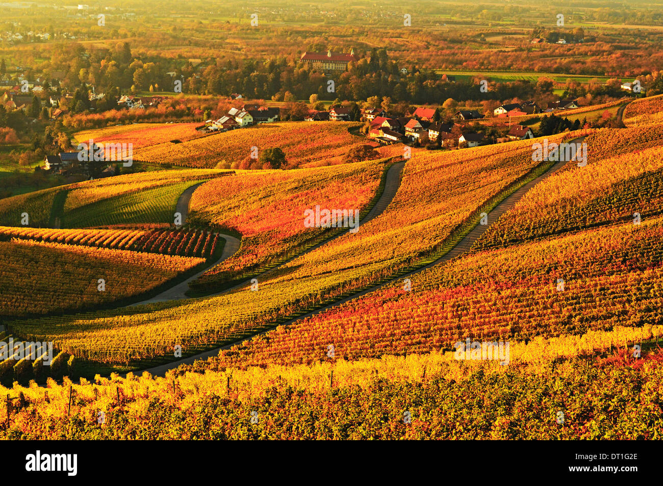 Baden wine route hi-res stock photography and images - Alamy