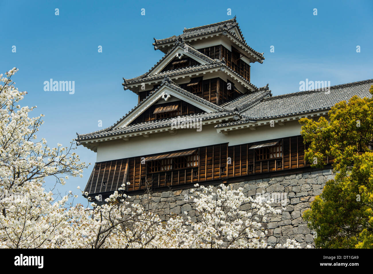 Japanese tree protection hi-res stock photography and images - Alamy