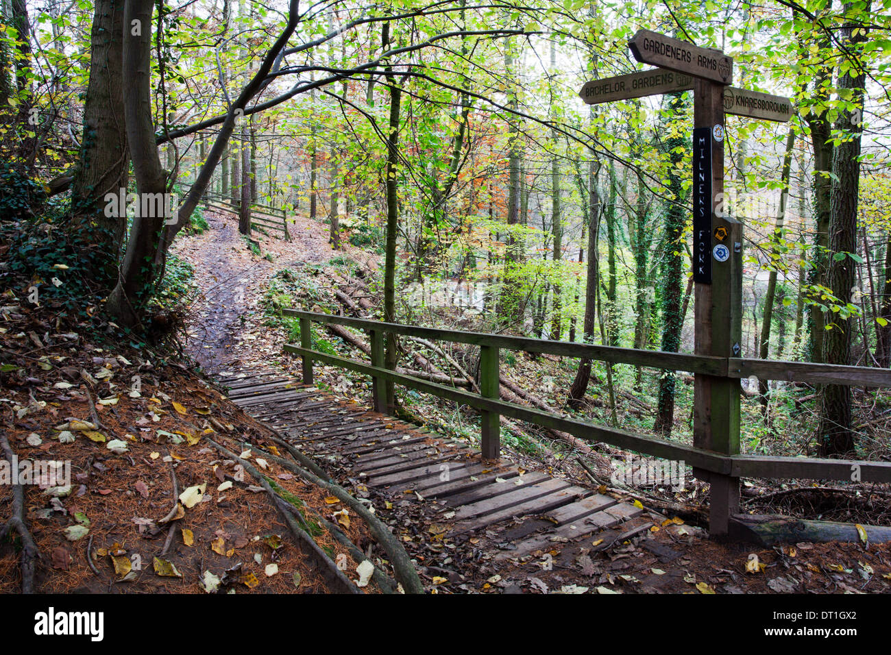 Footpath sign at Milners Fork in Nidd Gorge Woods near Bilton ...