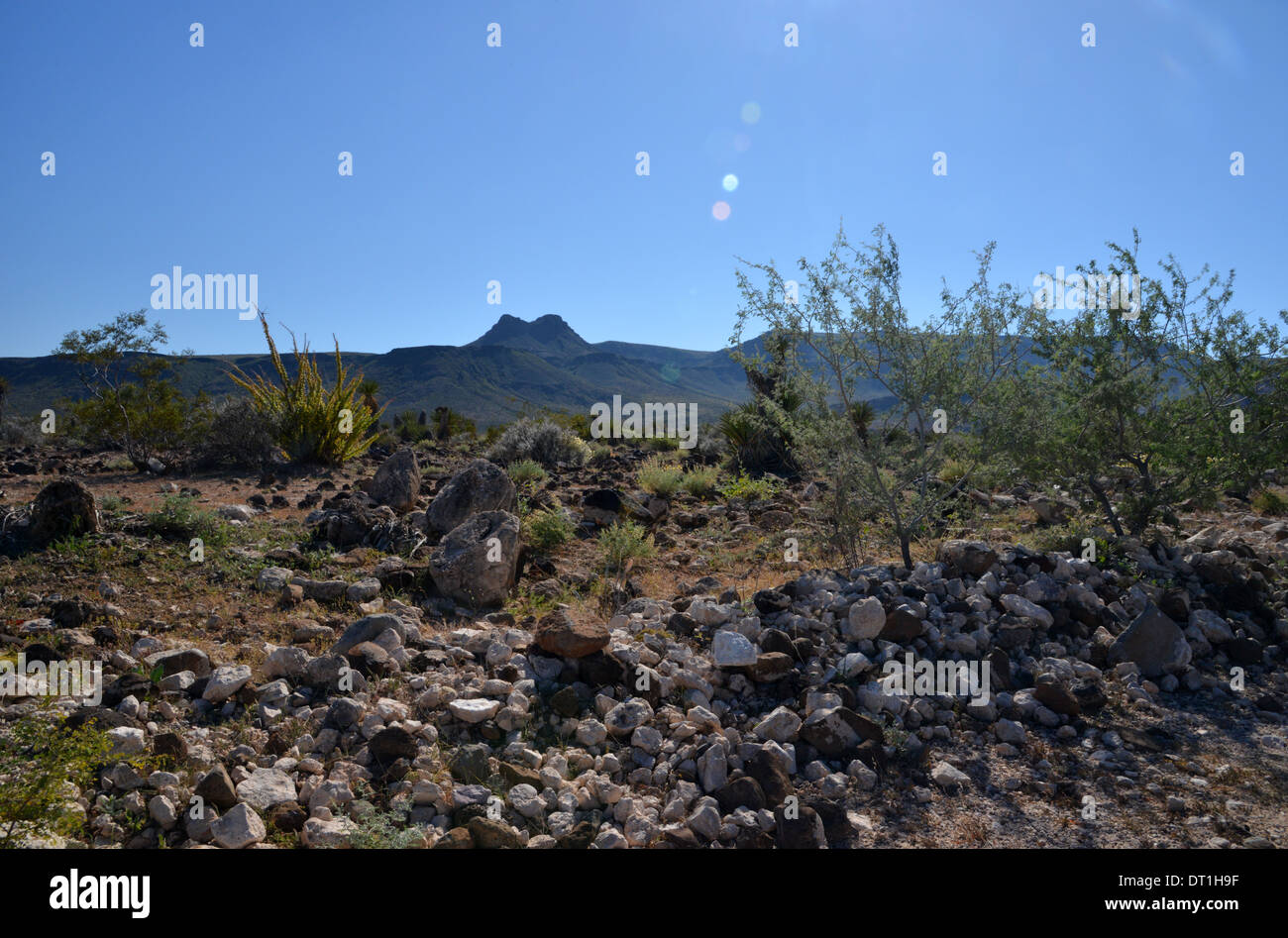 Witches stone rock hi-res stock photography and images - Alamy