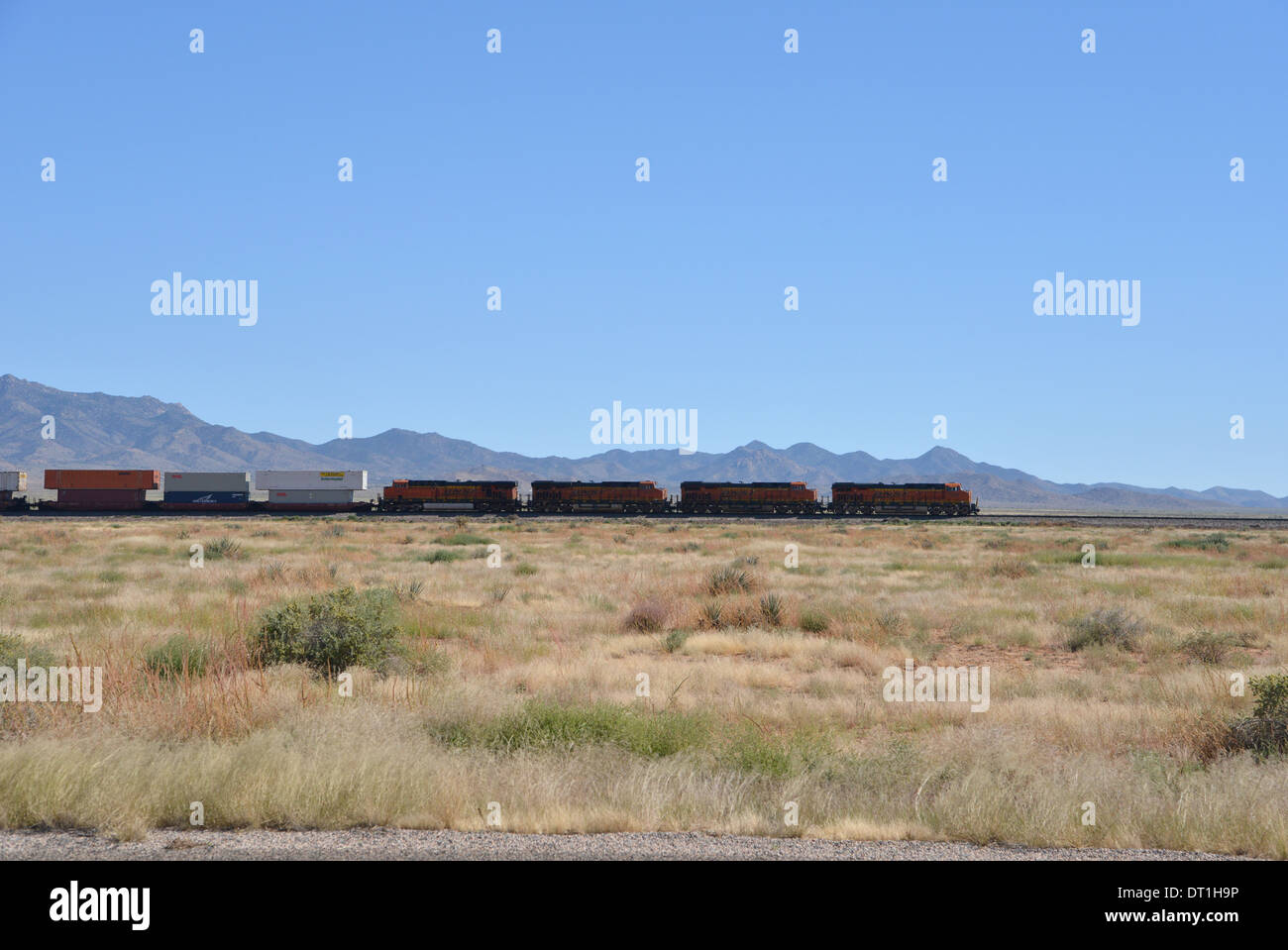 Huge American multiple unit freight train with 4 locomotives runs along ...