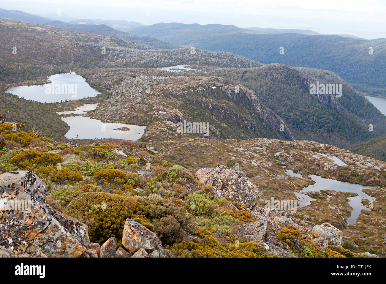 The Tarn Shelf in Mt Field National Park Stock Photo - Alamy