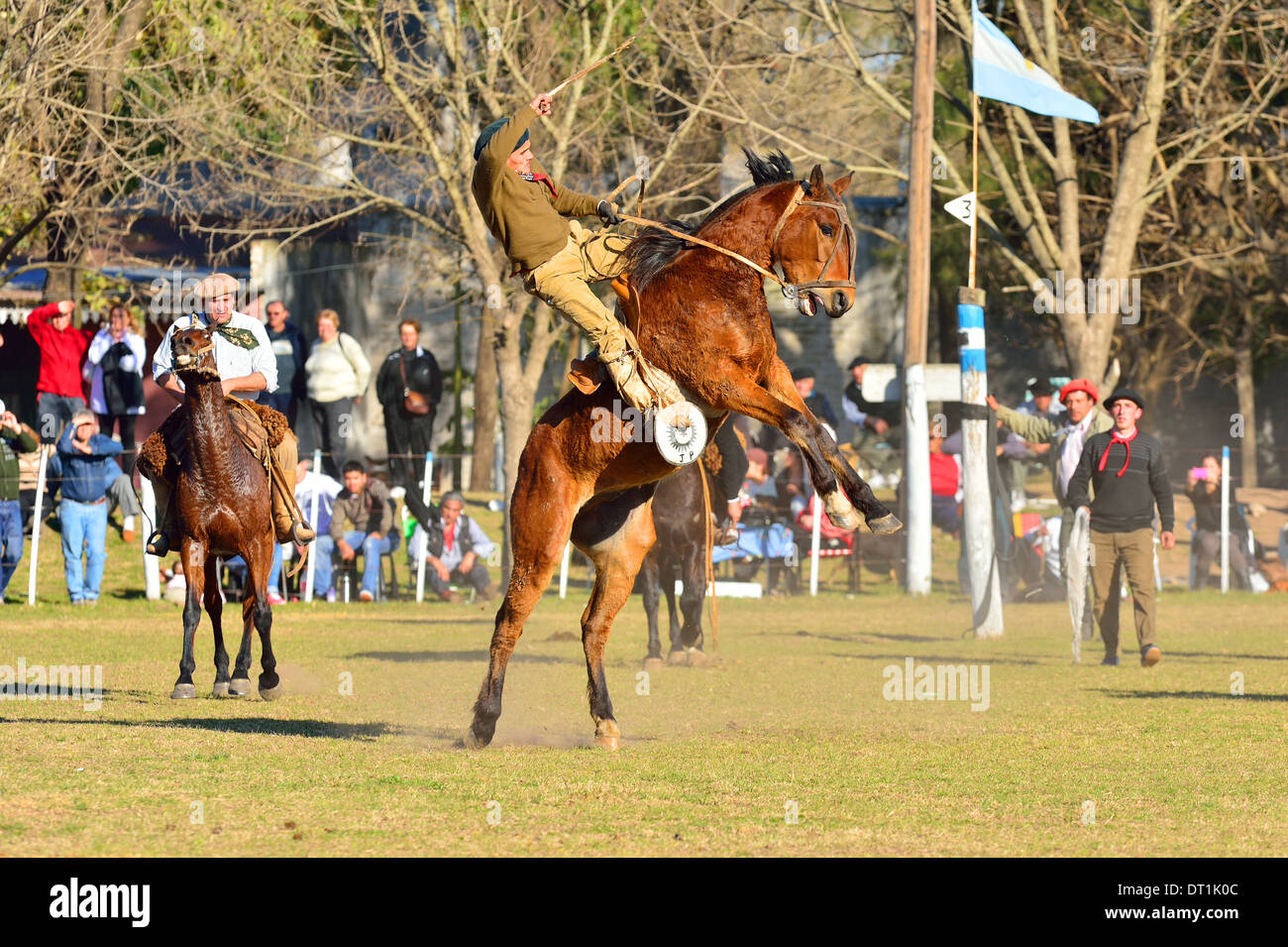 Man riding bucking horse hi-res stock photography and images - Alamy