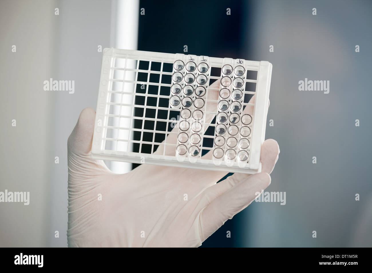 Technician Holding Rack Of Test Tubes In Lab Stock Photo - Alamy