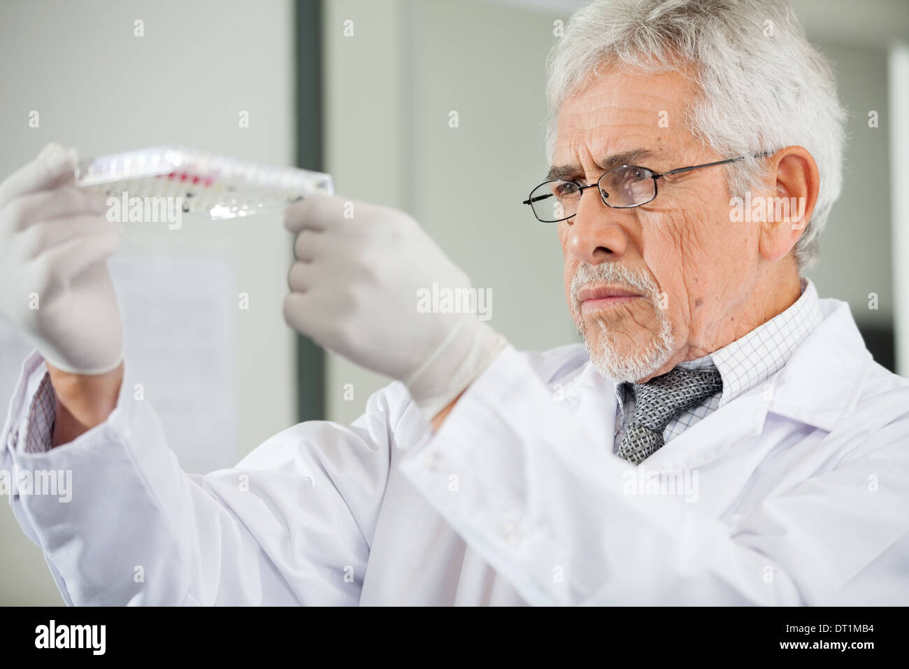 Microplate into tray hi-res stock photography and images - Alamy