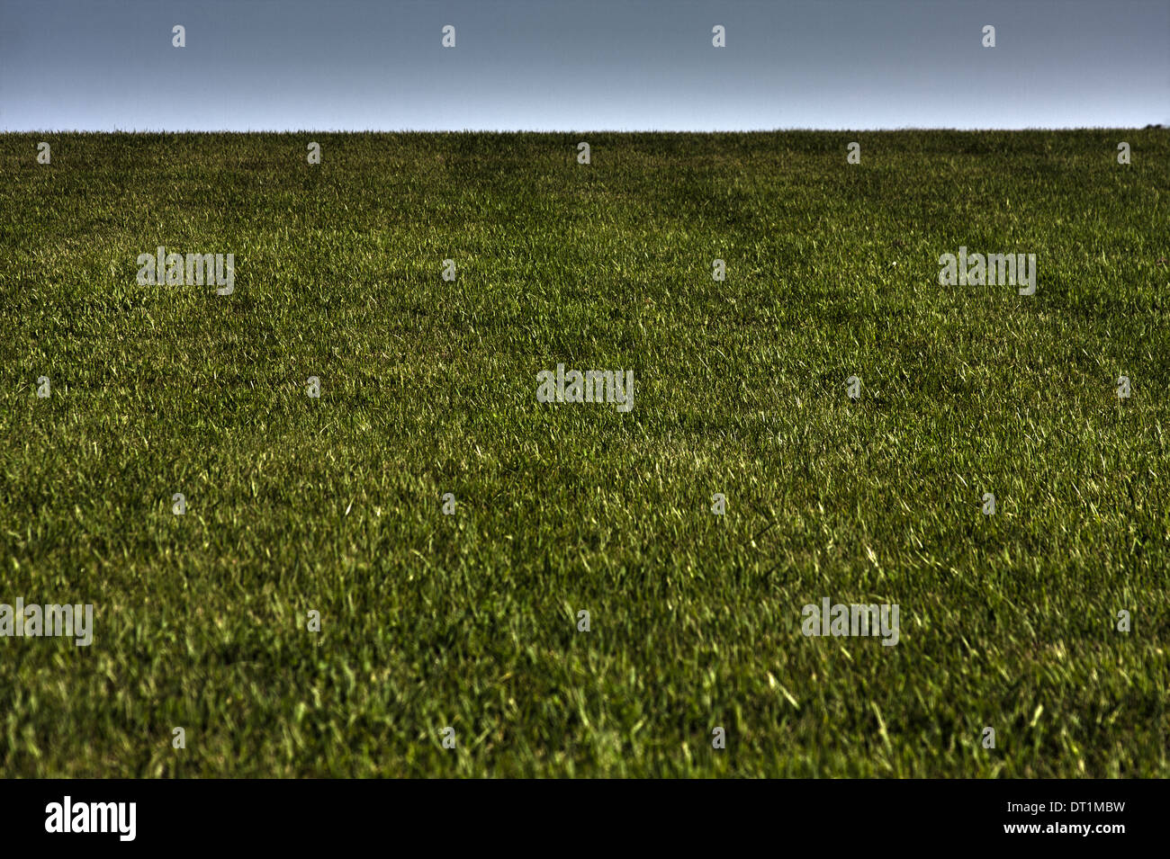 Grass Hill HDR Stock Photo - Alamy