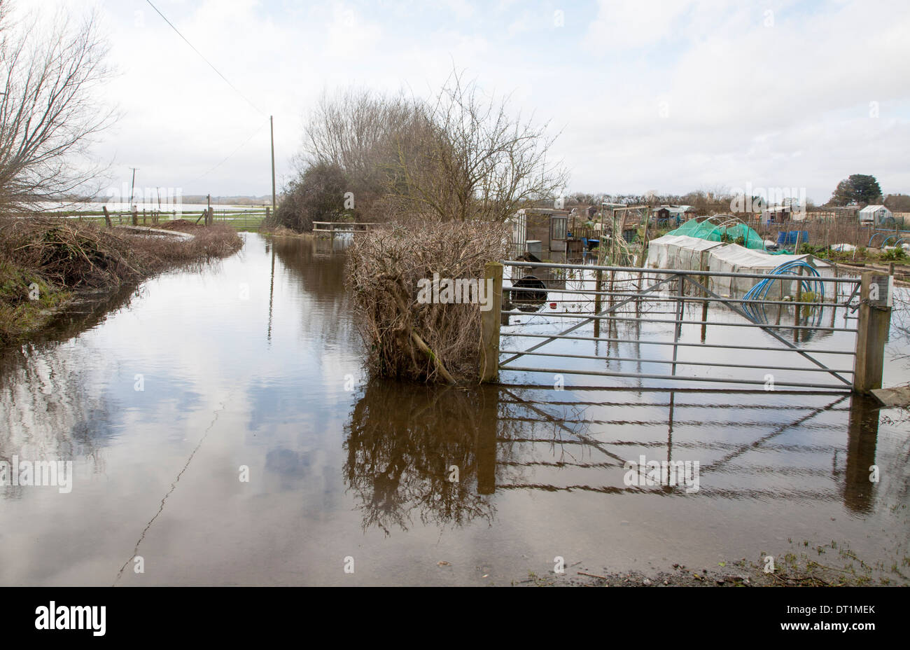 River Yeo floodplain water near Langport, Somerset Levels, England ...