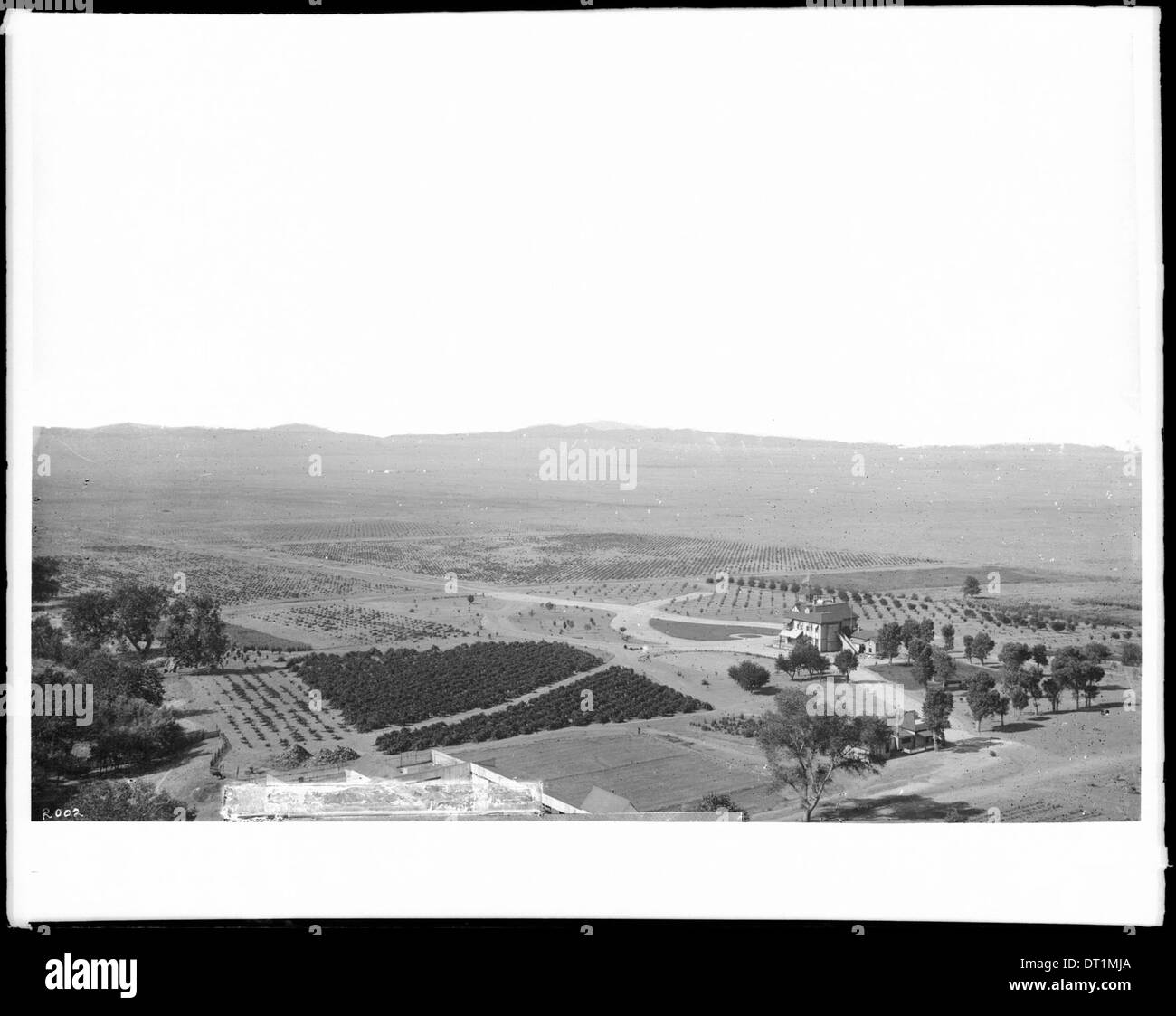 A photograph of the fruit ranch owned by A.H. Judson in Beaumont ...