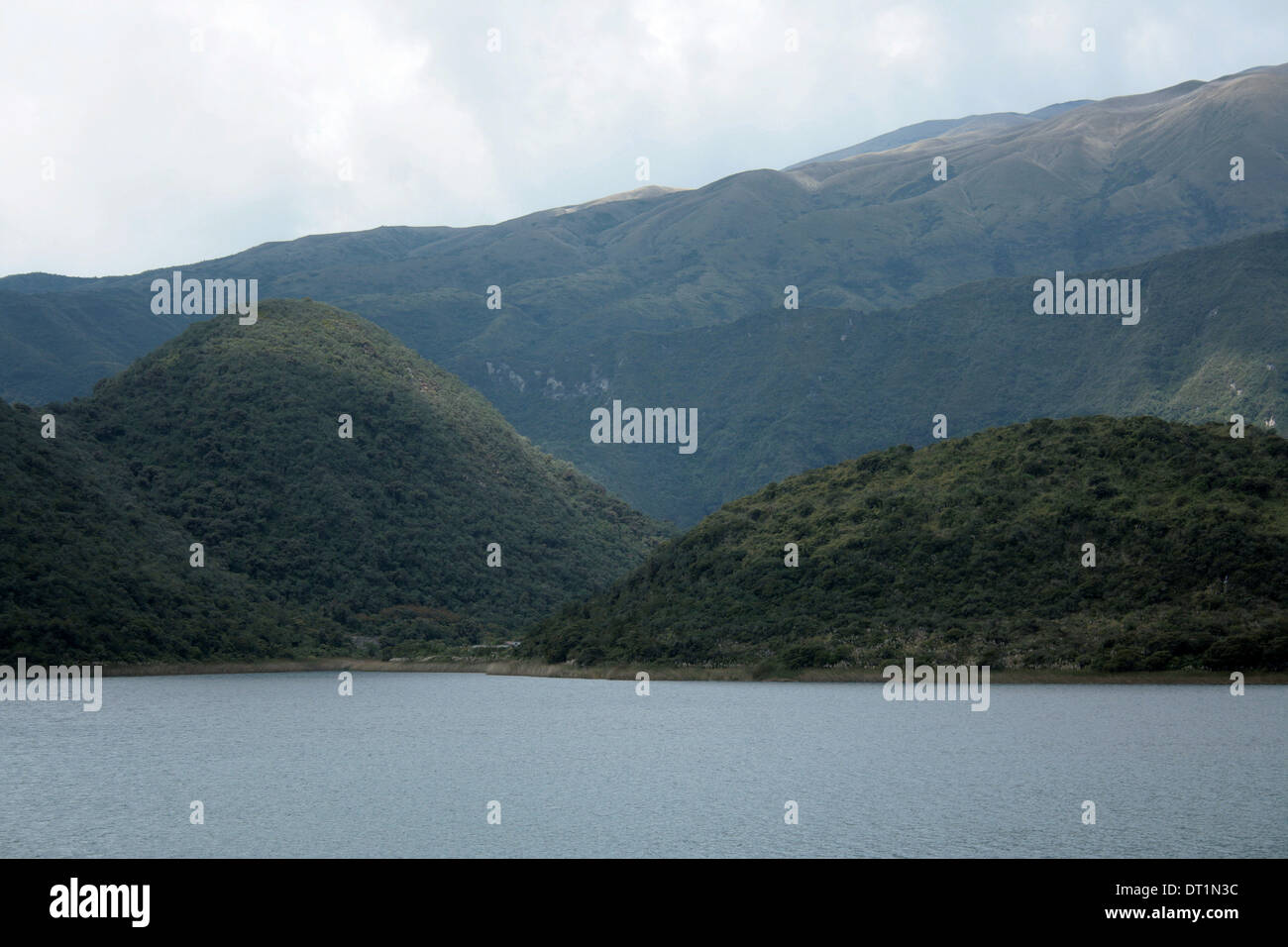 Islands and cliffs surround the volcanic crater lake, Lake Cuicocha ...