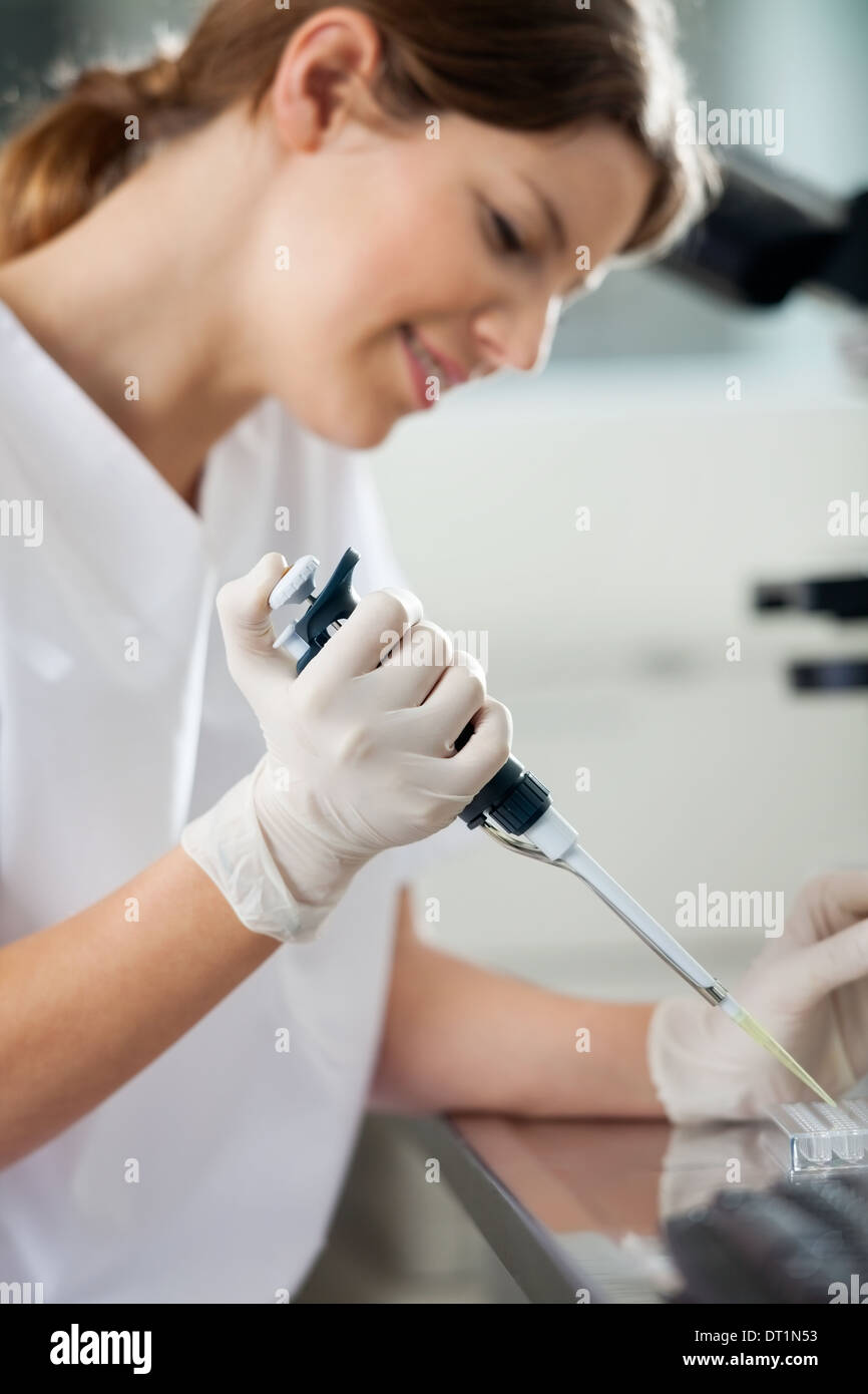 Technician Using Pipette In Laboratory Stock Photo - Alamy