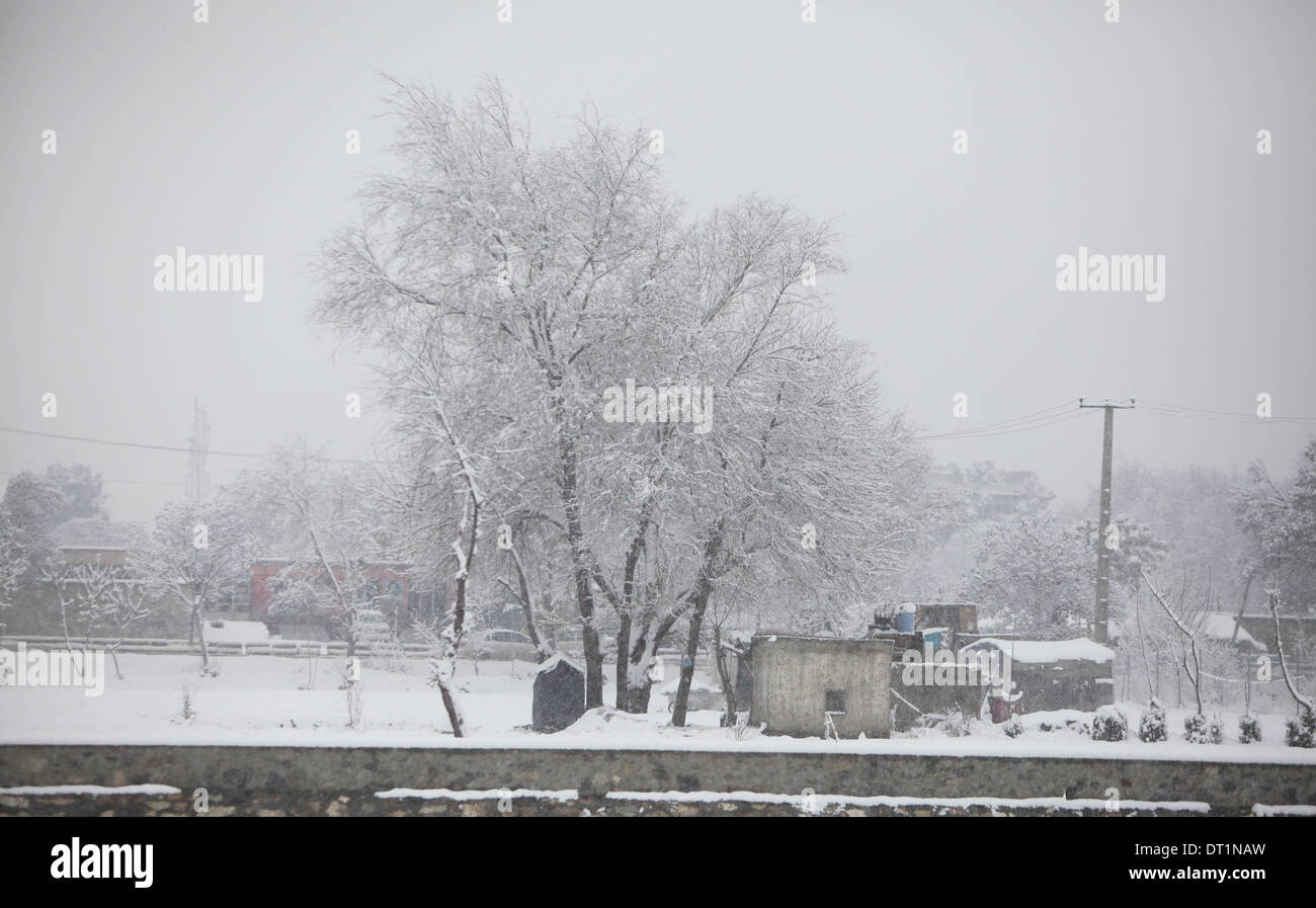 Kabul, Afghanistan. 6th Feb, 2014. Snow covers trees and houses during ...