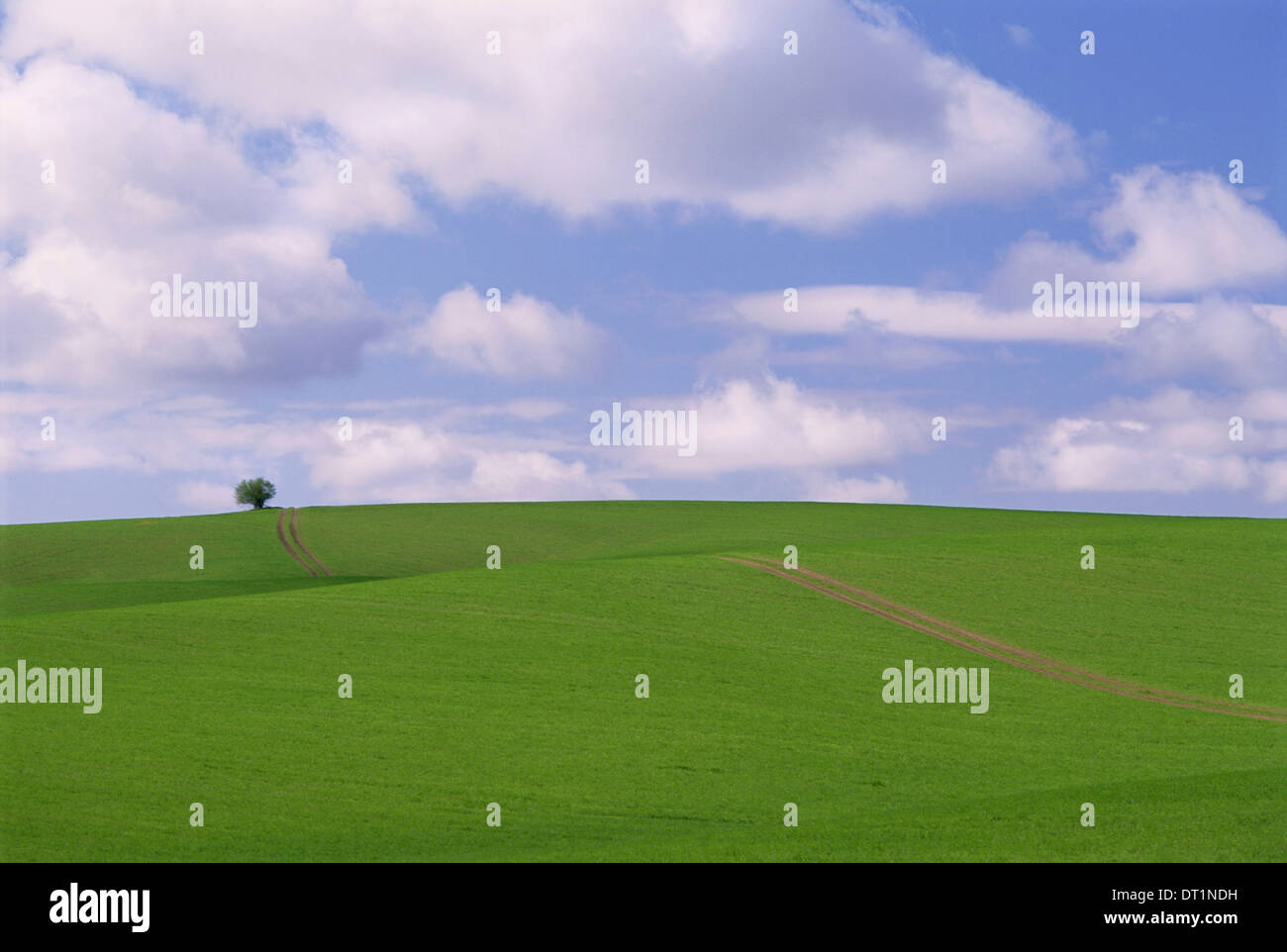 Path running through a farm field Stock Photo - Alamy