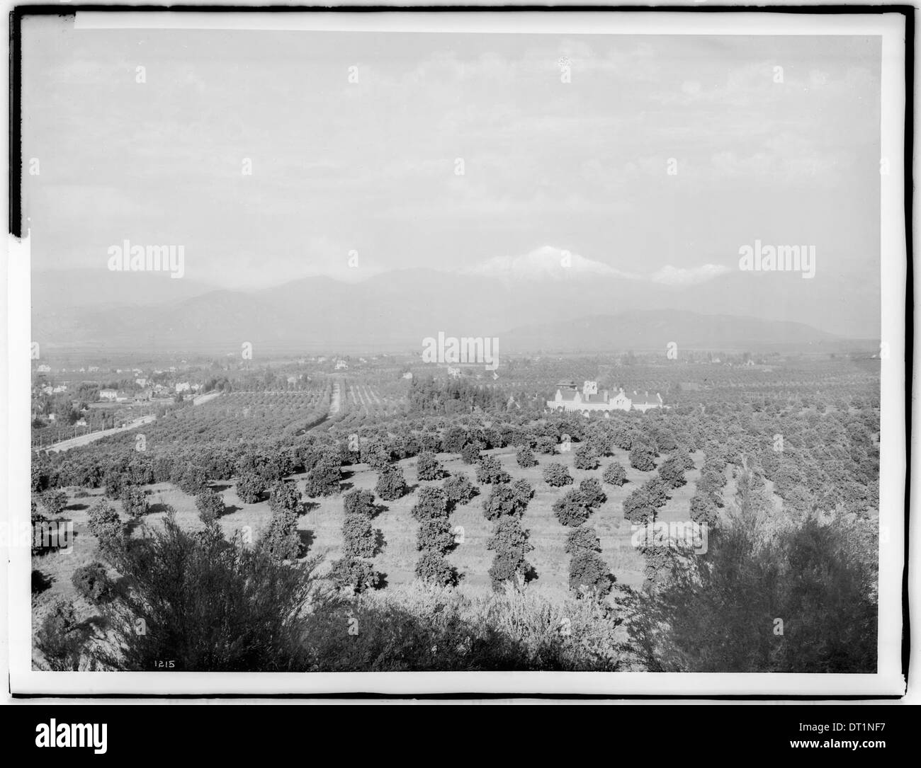 General view of Redlands, California, from Smiley Heights, ca.1900 ...