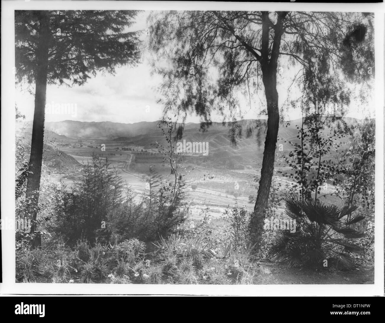 A general view of Redlands, California, from Smiley Heights, captured ...