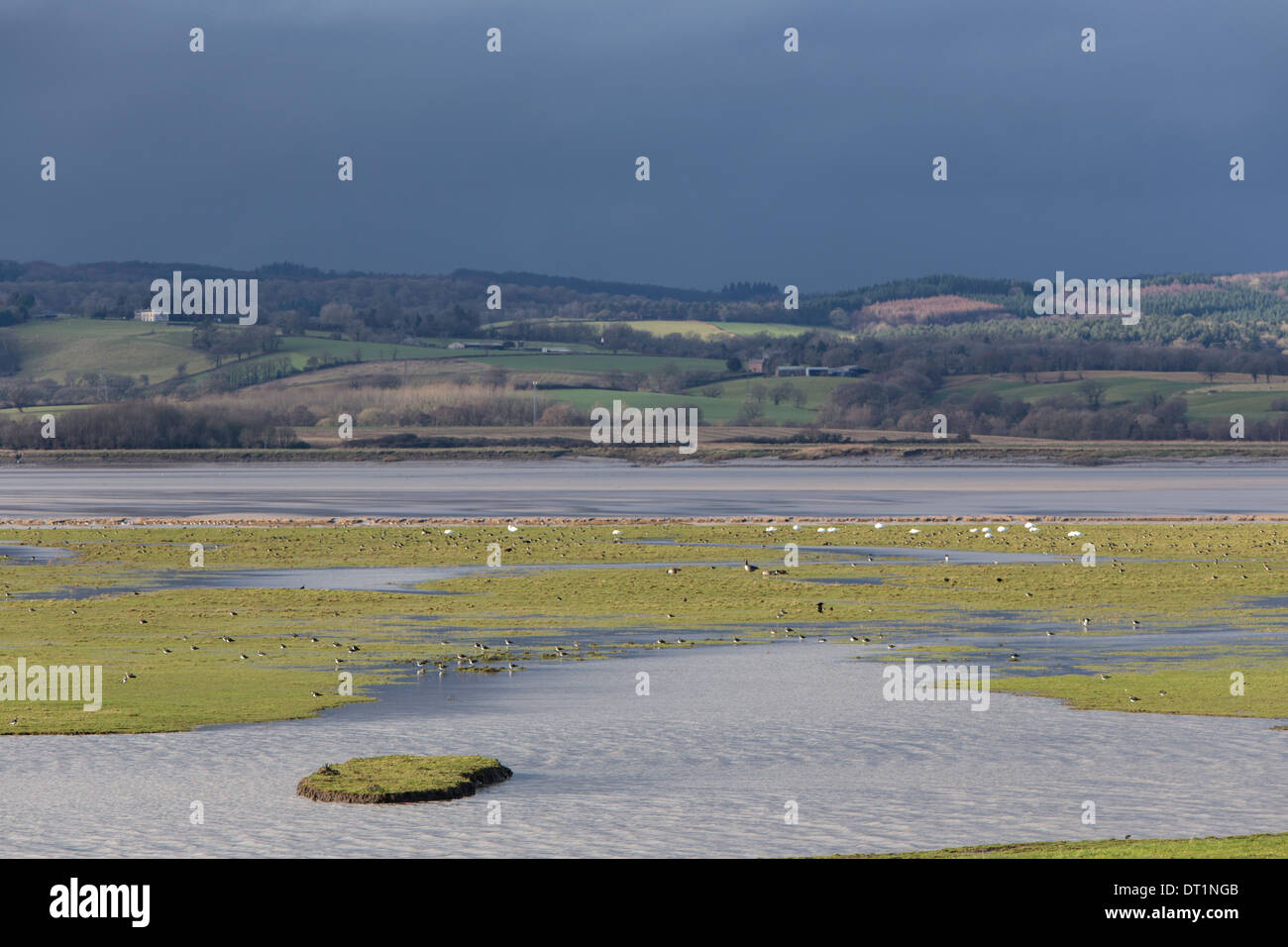 Looking across the River Severn estuary towards the Forest of Dean from ...