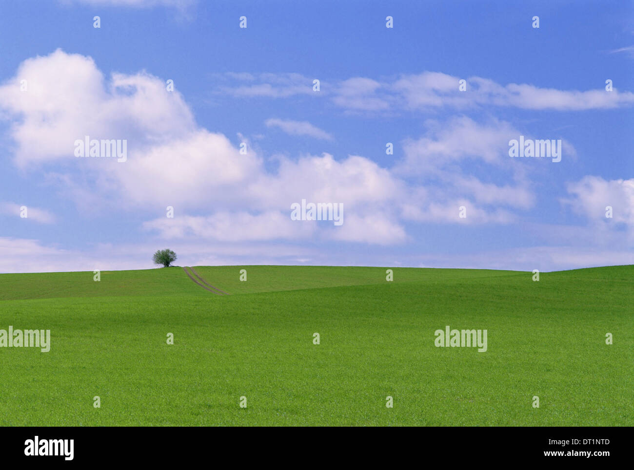 Farm country path hi-res stock photography and images - Alamy