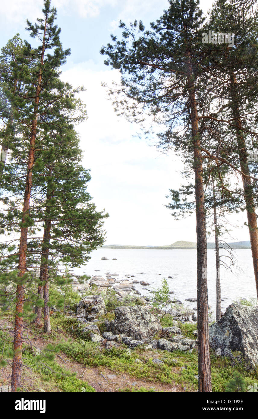 Beautiful landscape with lake shore, stones and pines Stock Photo - Alamy