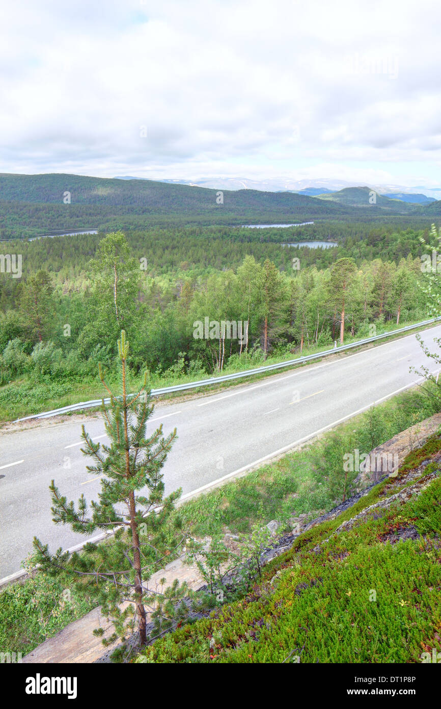 Landscape with forest and road, top view Stock Photo - Alamy