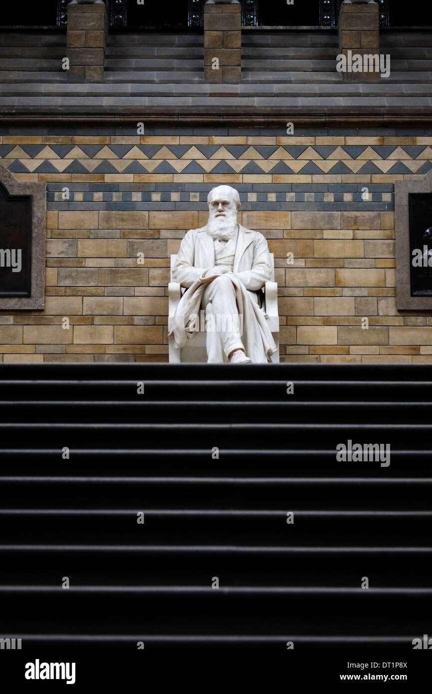 Statue of Charles Darwin Stock Photo - Alamy