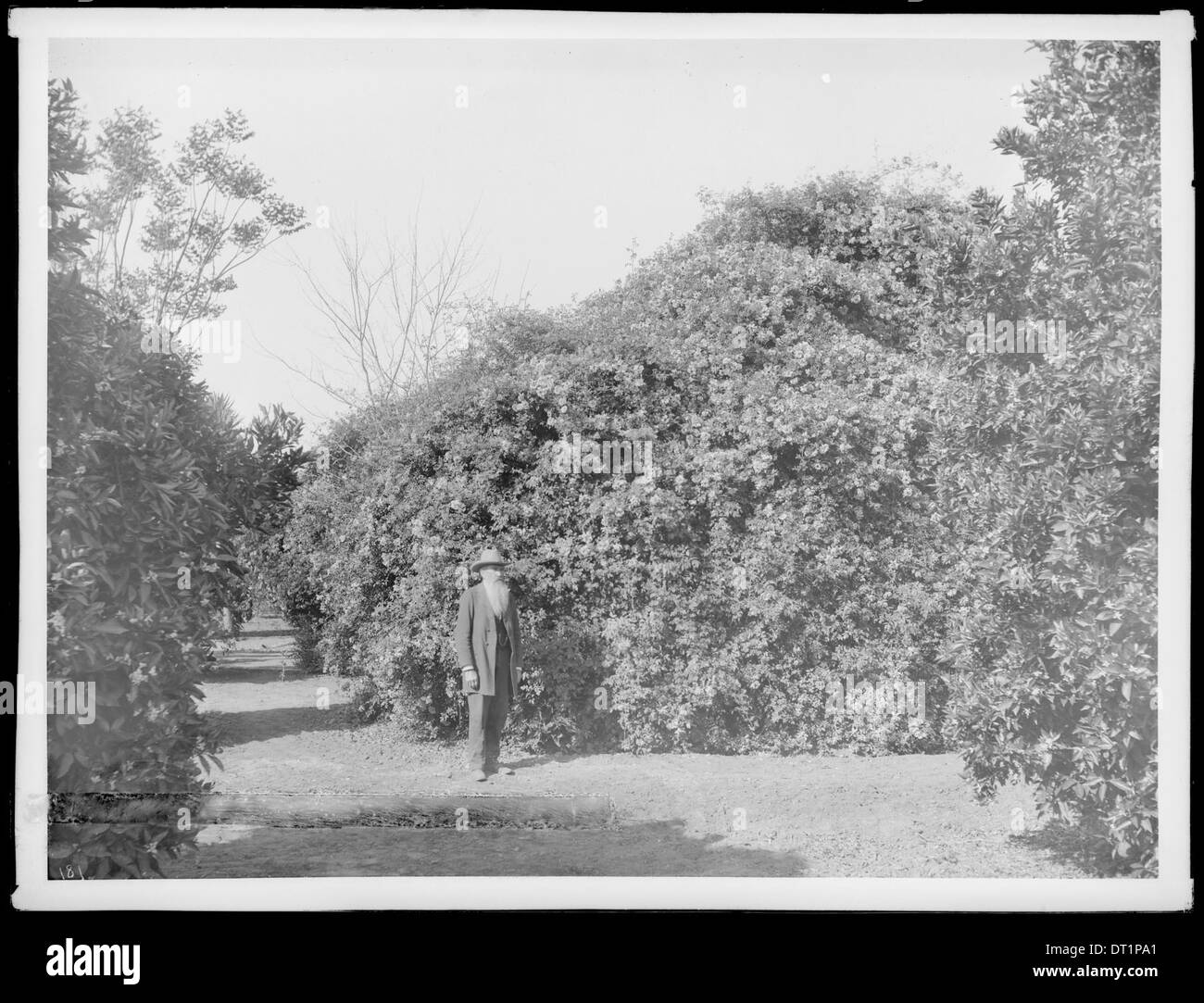 Ophir gold hi-res stock photography and images - Alamy