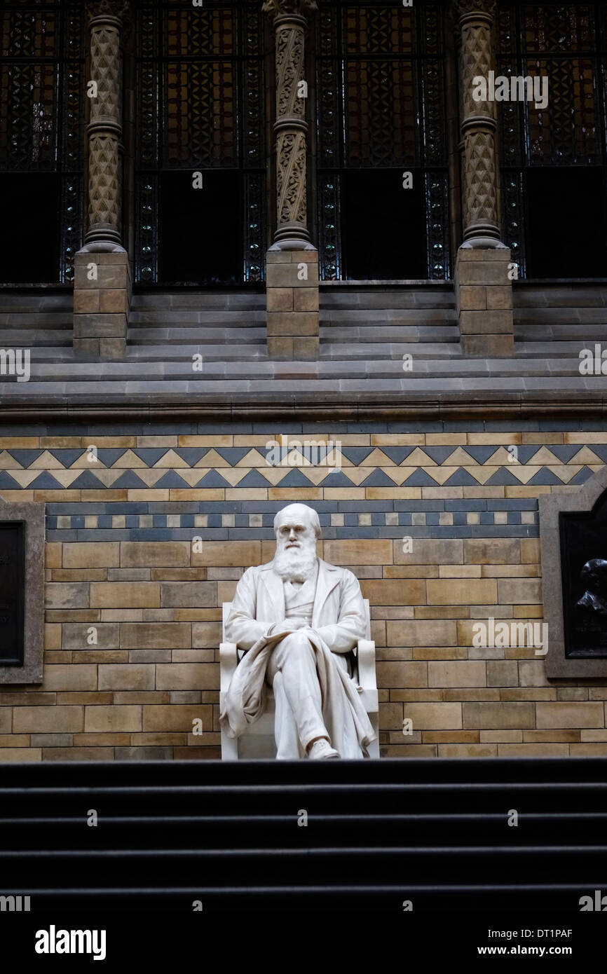Statue of Charles Darwin Stock Photo - Alamy