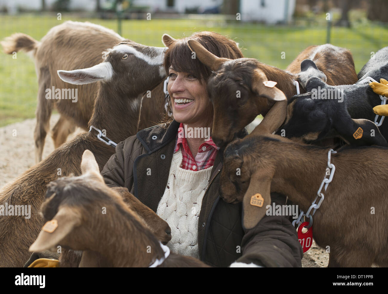 Working with animals hi-res stock photography and images - Alamy