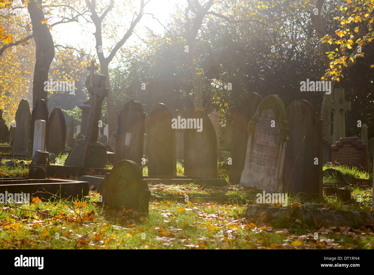 City of london cemetery hi-res stock photography and images - Alamy