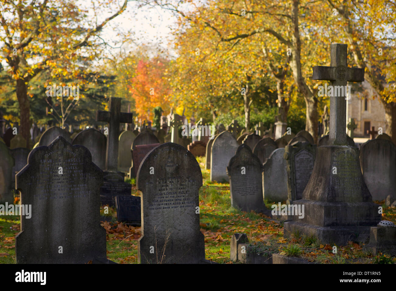 Grave stones on a sunny autumn day at the City of London Cemetery ...