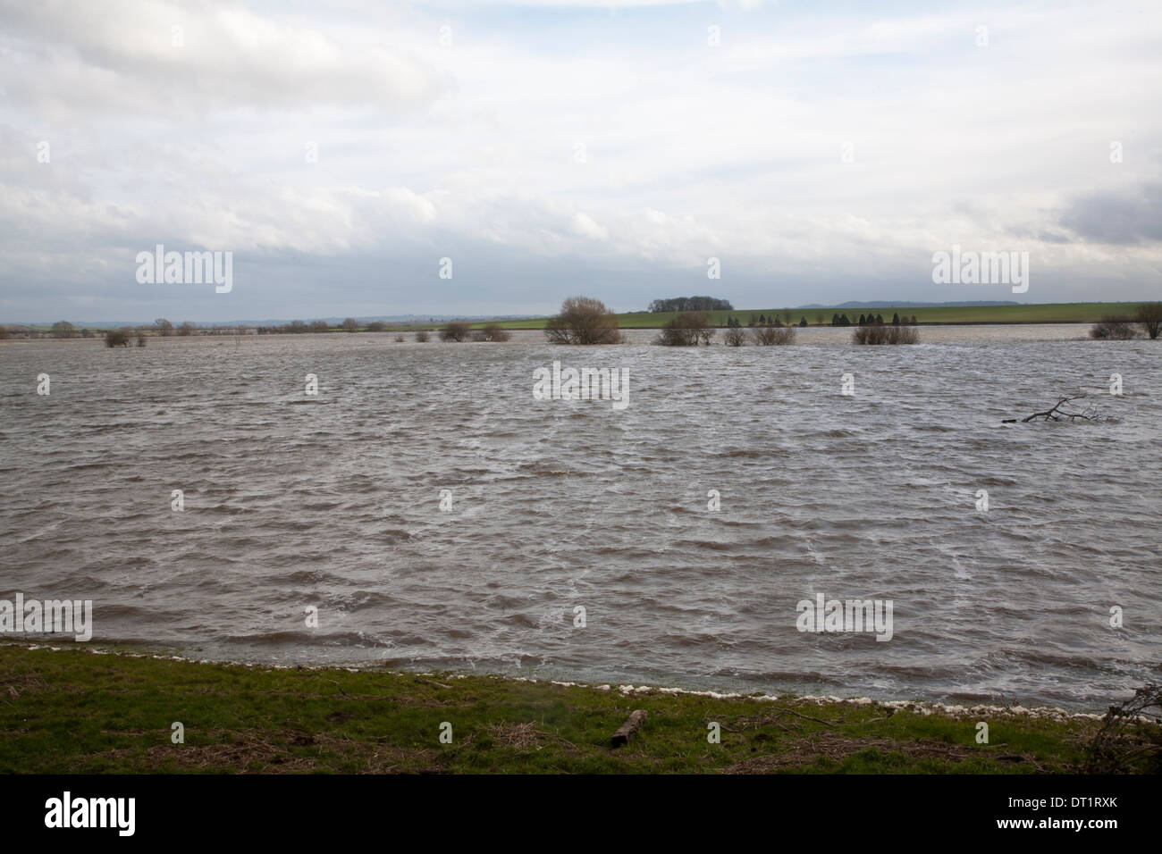 River Yeo floodplain water near Langport, Somerset Levels, England ...