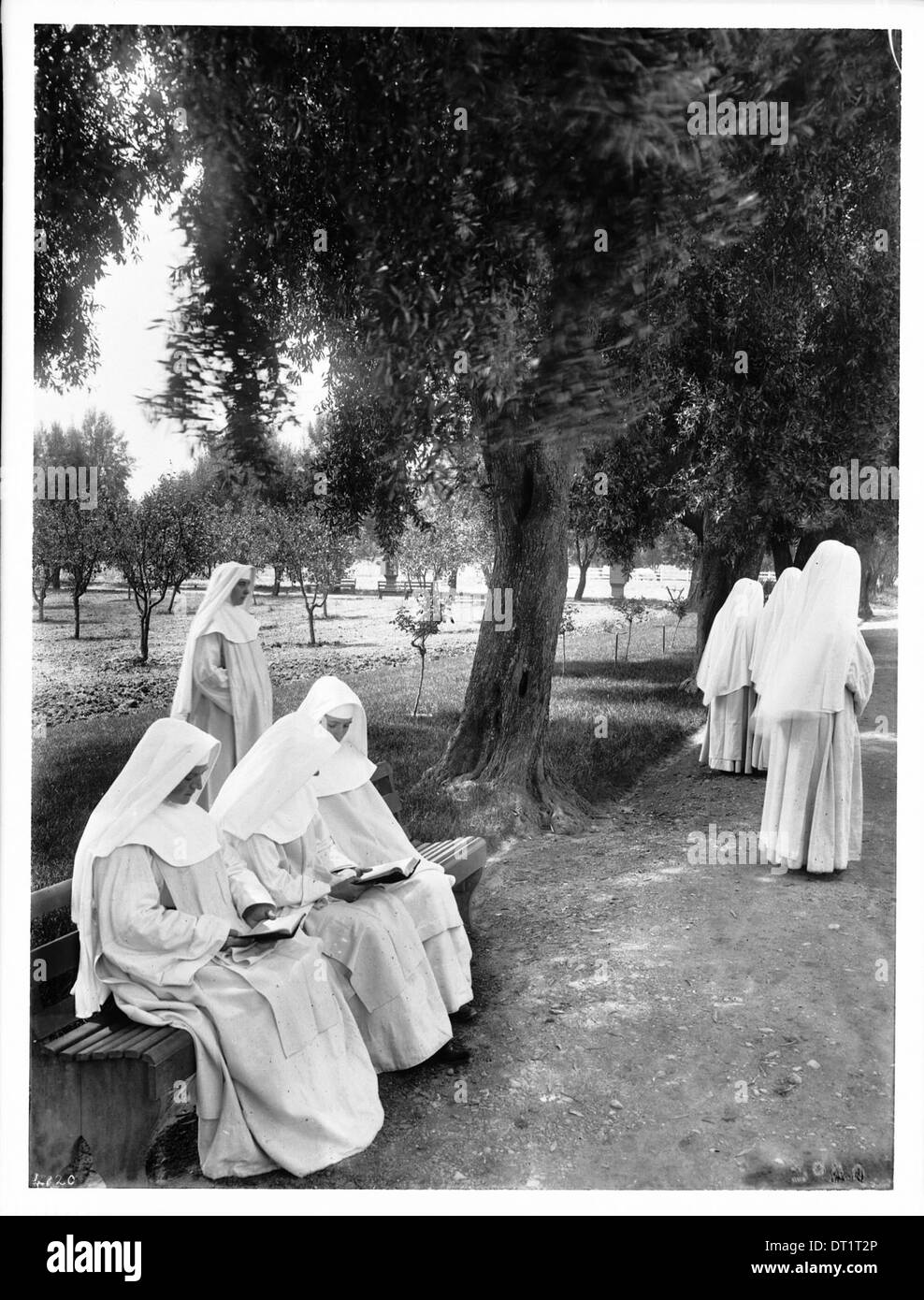 A group of seven Dominican sisters posed in the garden of their convent ...